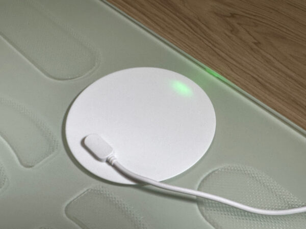 【レビュー】issin スマートバスマット｜毎日いつの間にか体重管理ができる！ヘルスケアとの連携もGOOD! みんなの口コミ・評判 ...